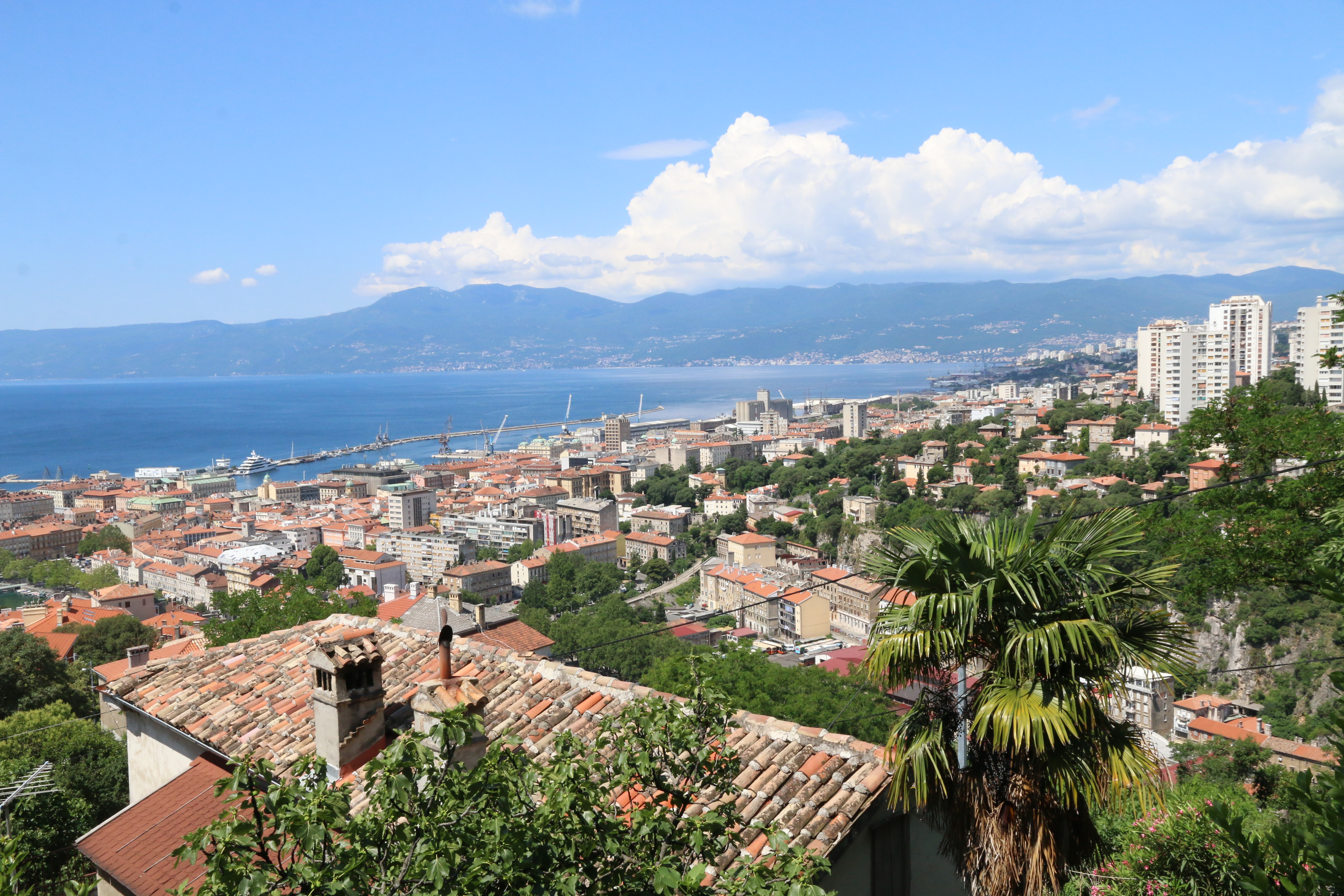 Rijeka uvrštena u Top 50 turističkih destinacija svijeta 2020. godine ...