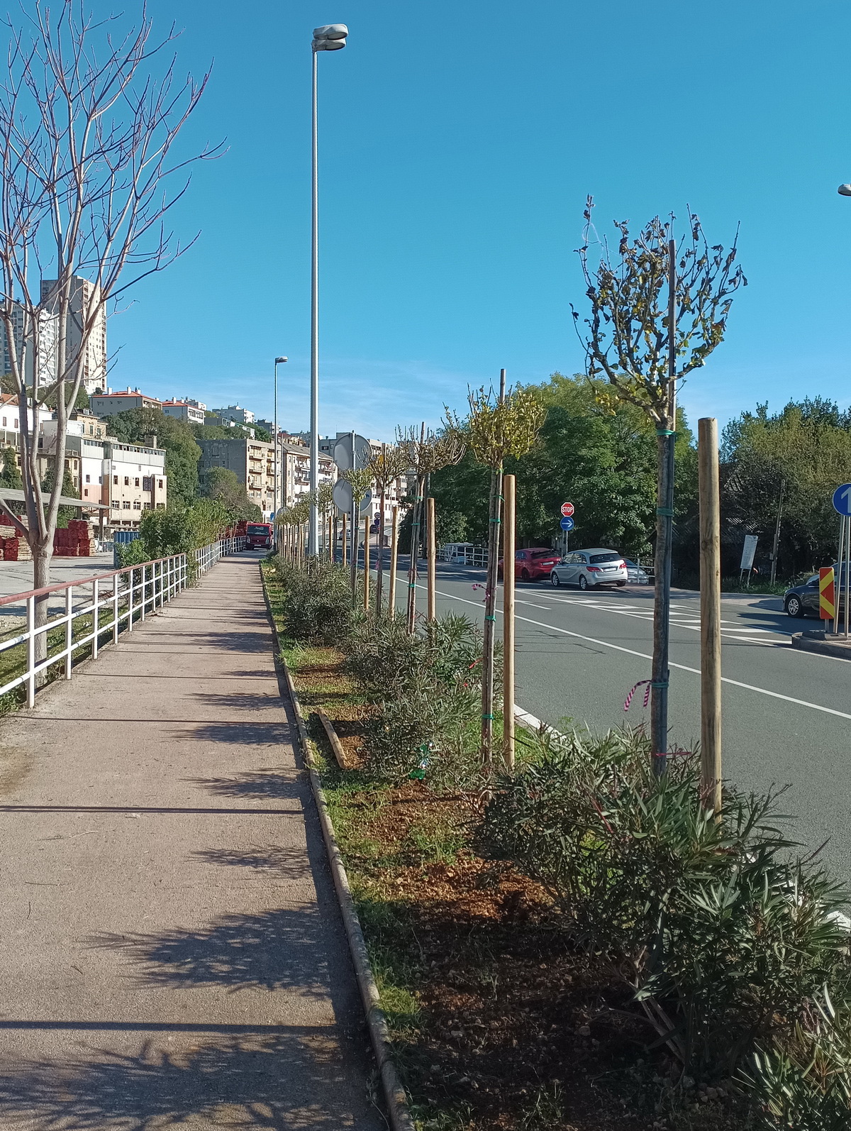 Reagiranje: Održavanje zelenila u gradu Rijeci – Grad Rijeka